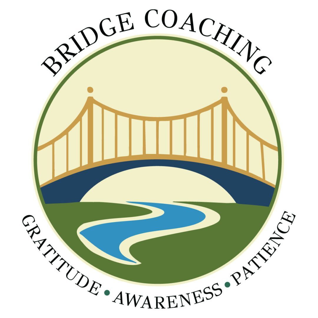 Organizational Coaching | Bridge Coaching